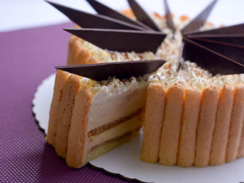 Malakoff Cake | Online Recipe | The Maya Kitchen